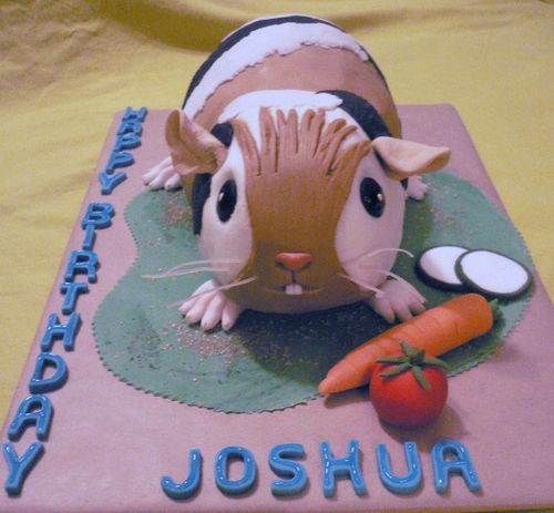 Guinea Pig Cake! - CakeCentral.com